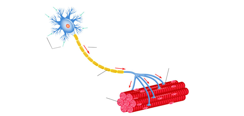 Grupo Educacional Uninter